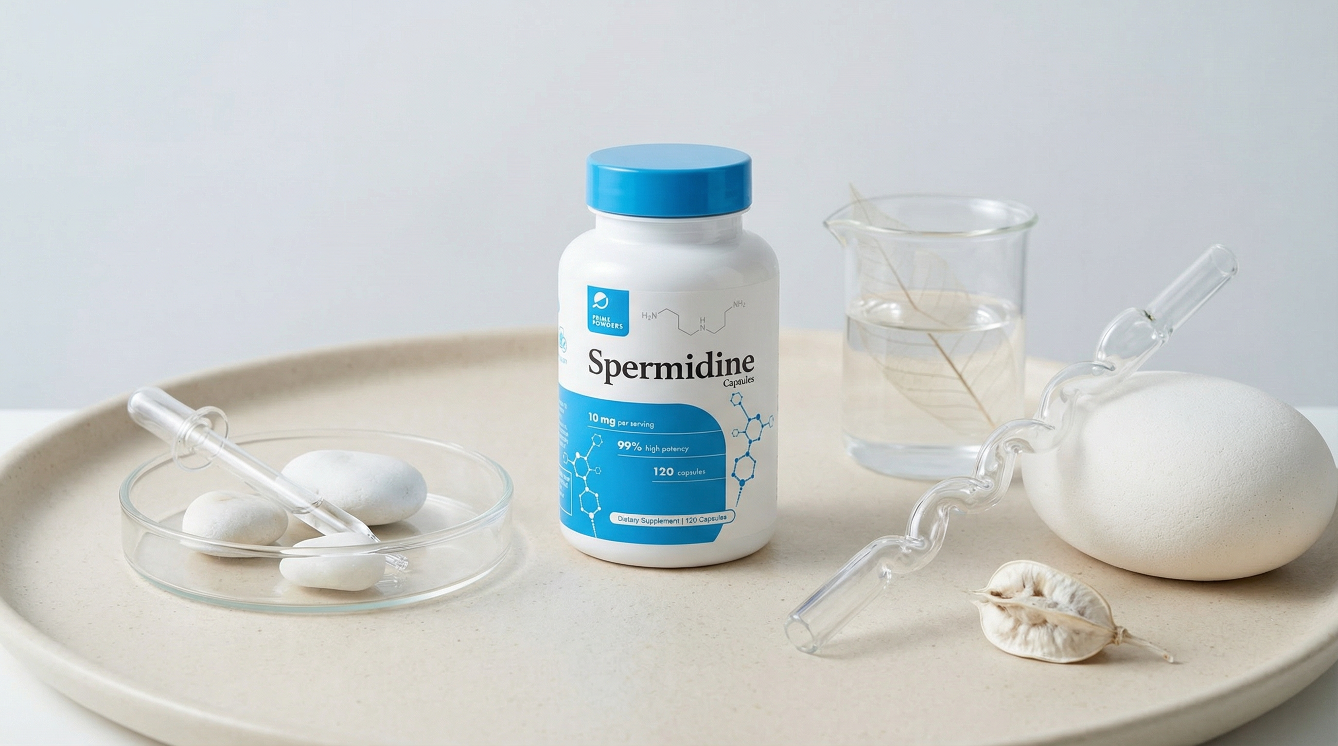 Spermidine Capsules: High-Purity Autophagy and Healthy Aging Support G ...